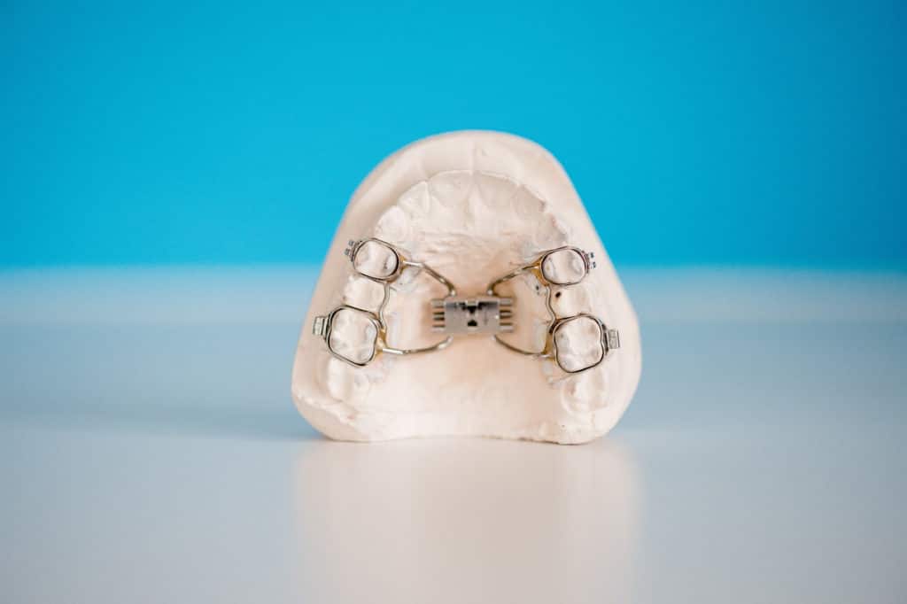 The Hyrax - Airportho Utrecht